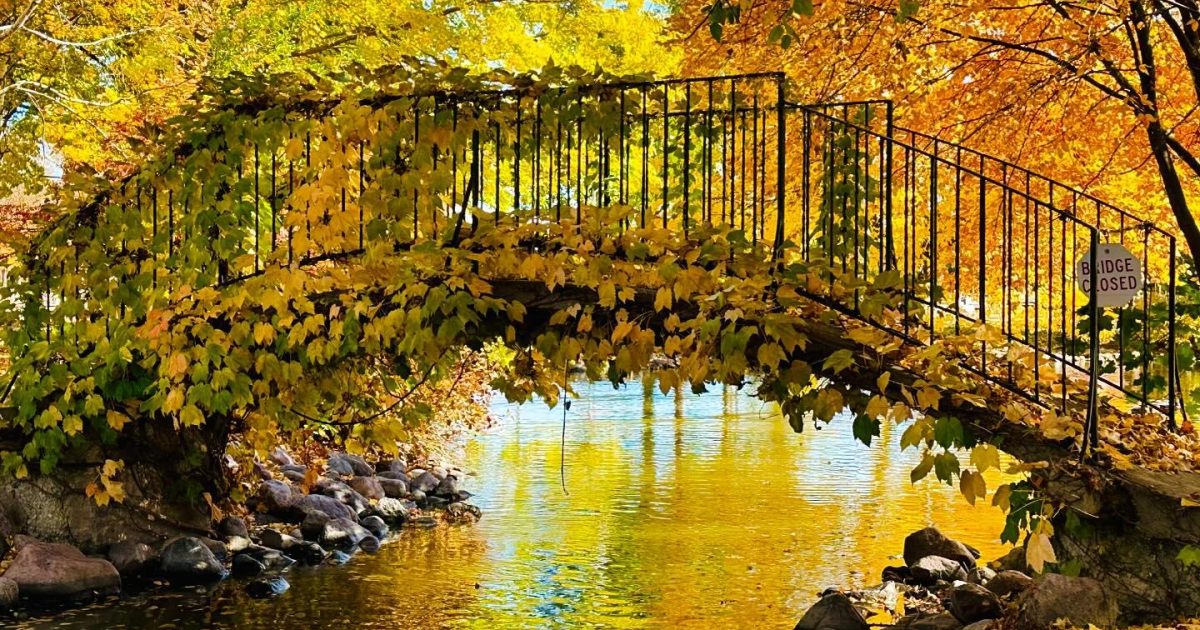 Fall in the Fox Cities: Scenic Trails, Cozy Cafés & Autumn Adventures ...