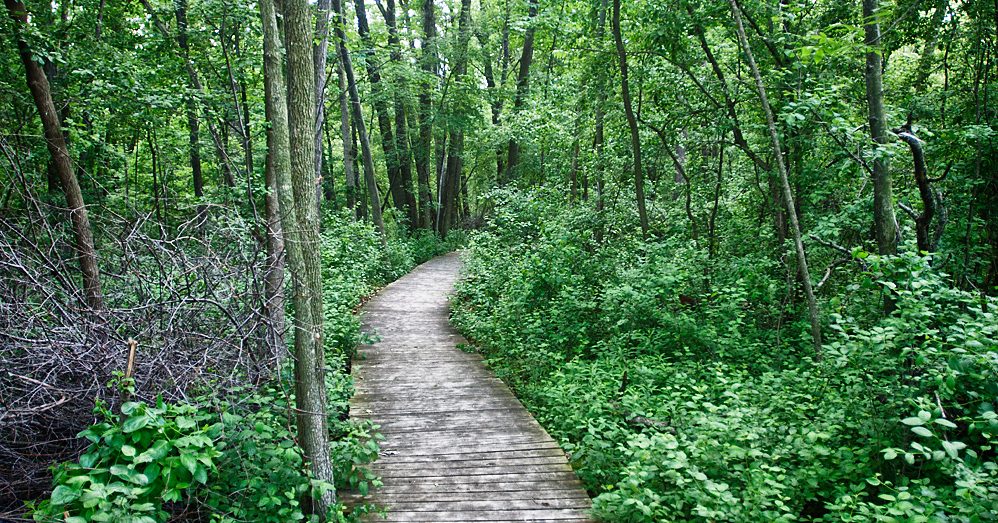 Trails | Fox Cities CVB