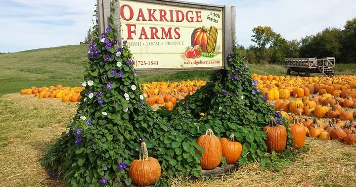 Oakridge Farms | Fox Cities CVB
