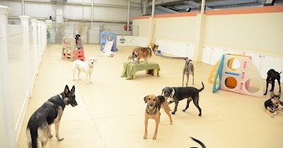 Dog House Pet Center | Fox Cities CVB