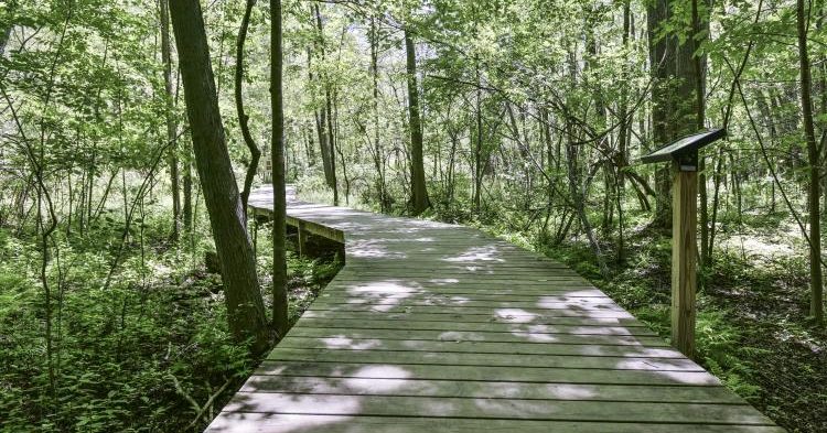 Trail - Heckrodt | Fox Cities CVB
